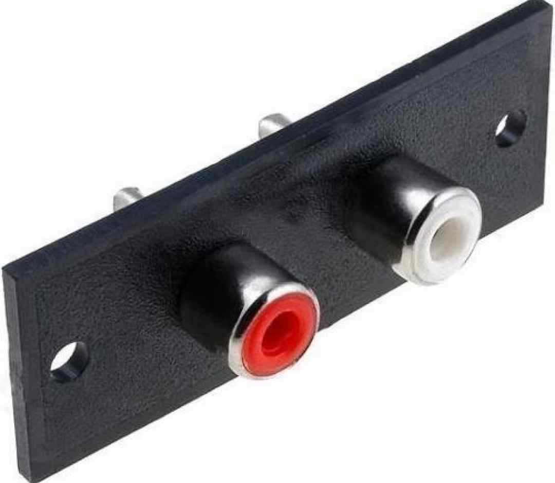 TERMINAL 2 JACK RCA | CarvalElectronics