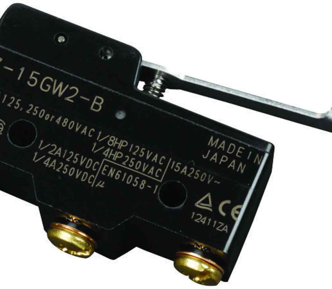 FINAL DE CARRERA MICROSWITCH GRANDE Z-15GW2-B | CarvalElectronics